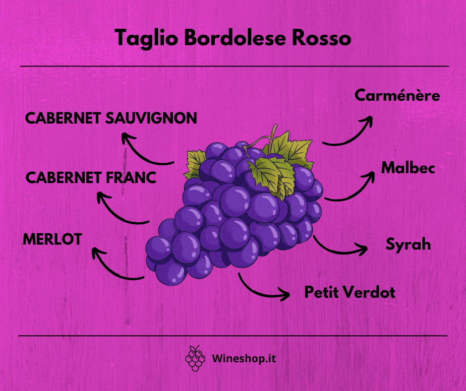 Quali sono le uve del taglio bordolese? | Blog Wineshop.it