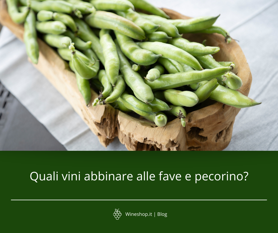 Quali vini abbinare alle fave e pecorino? | Blog Wineshop.it